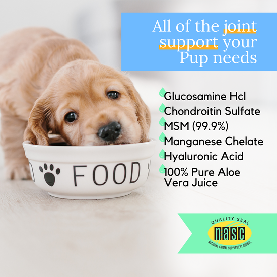 K9 Glucosamine For Dogs Joint Supplement – Liquid Health Pets