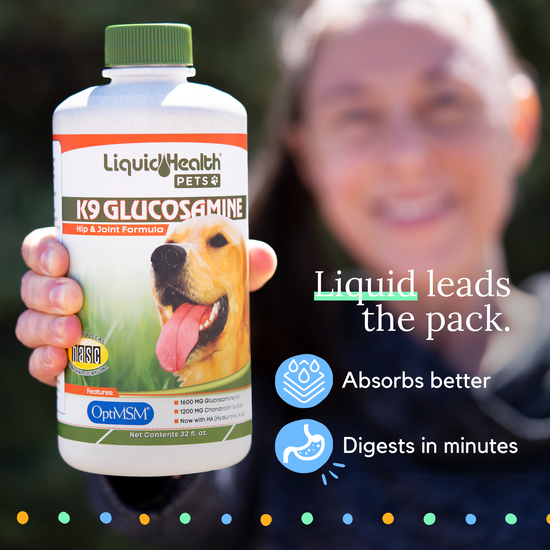 K9 Glucosamine For Dogs Joint Supplement – Liquid Health Pets