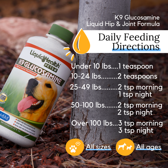 K9 Glucosamine For Dogs Joint Supplement – Liquid Health Pets